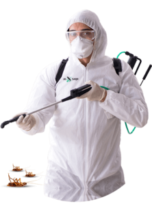 Pest Control Service in Dubai| Organic Pest Control Company